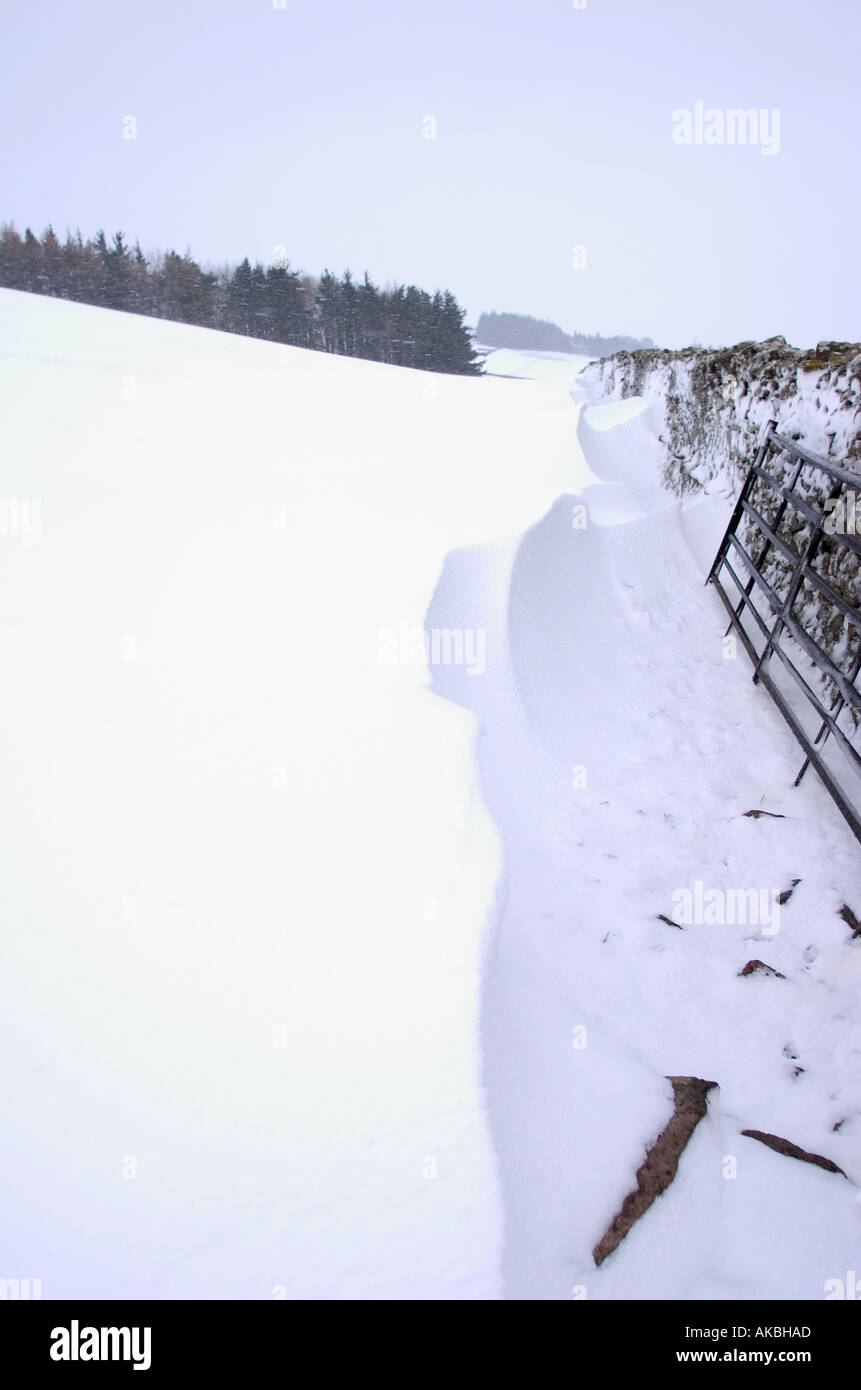 Winter Landscapes, sudden severe weather conditions, after blizzard ...