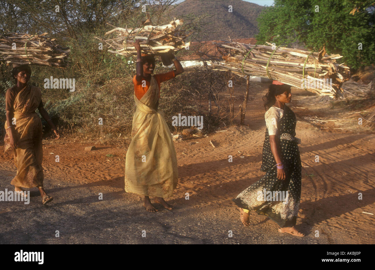 Women with fire wood, India Stock Photo - Alamy