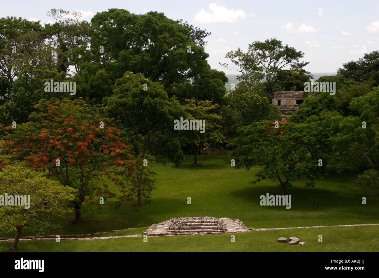 Mayan ruins and the surrounding rainforest at the Palenque Ruins in ...