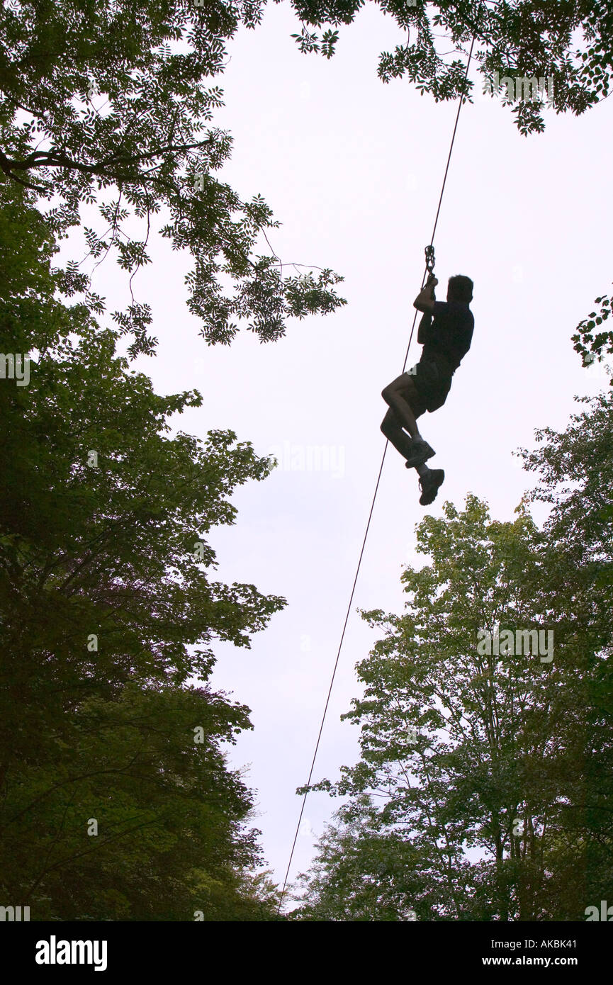 man sliding down a zip wire at Go Ape Grizedale Forest Lake district ...