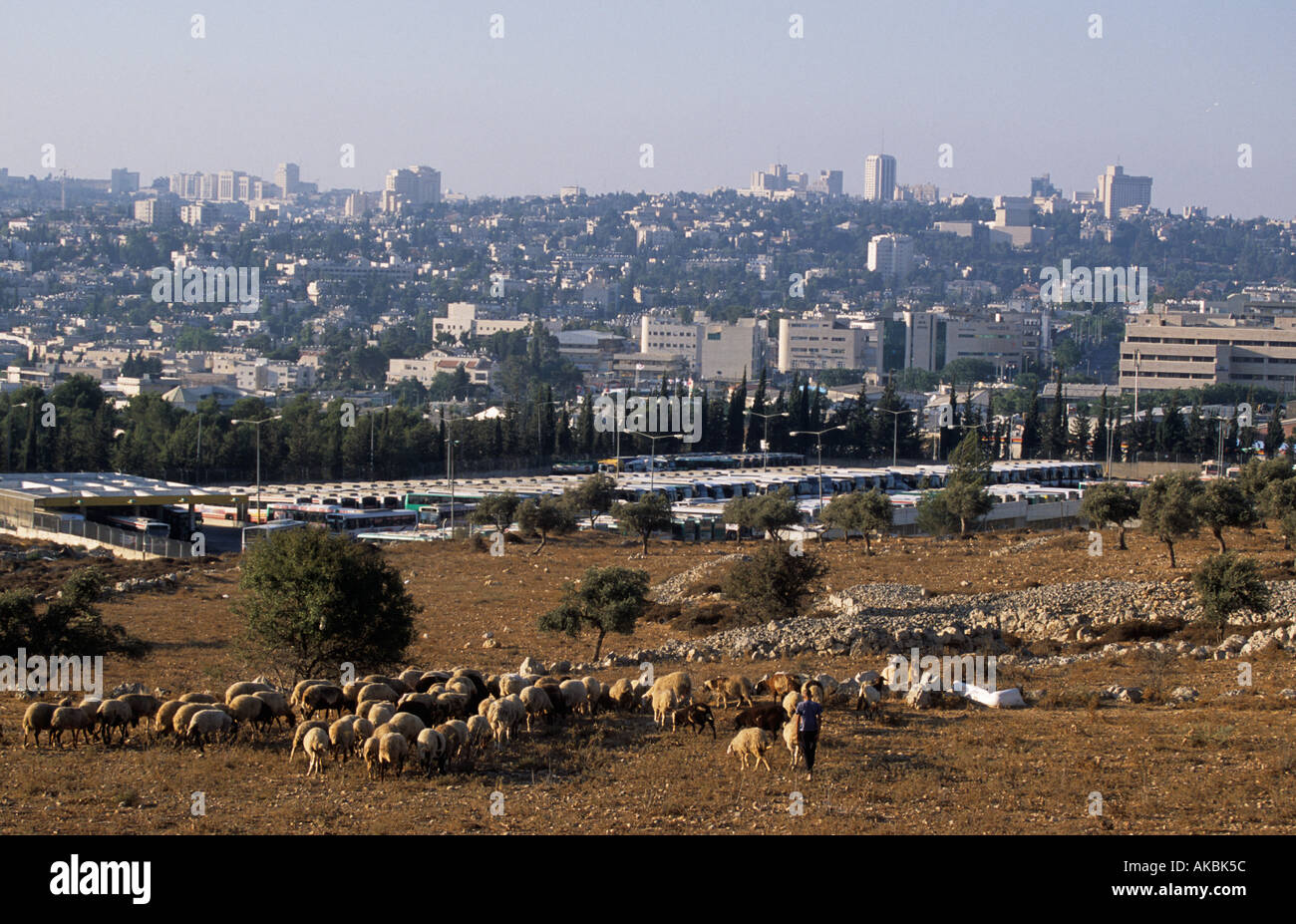 An overview of the city of Israel Stock Photo - Alamy