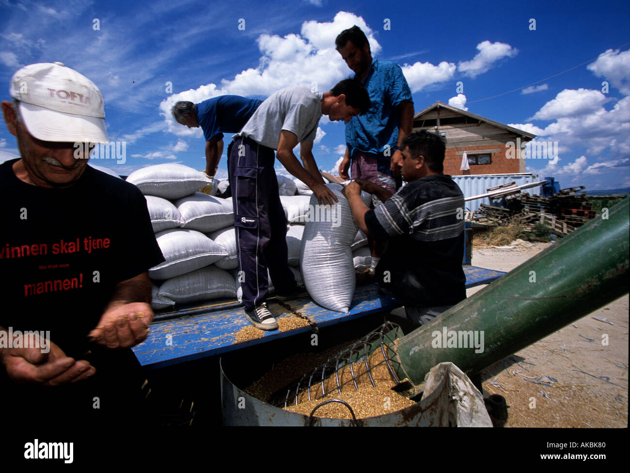 Farmers packing and loading their harvest onto a truck Stock Photo - Alamy