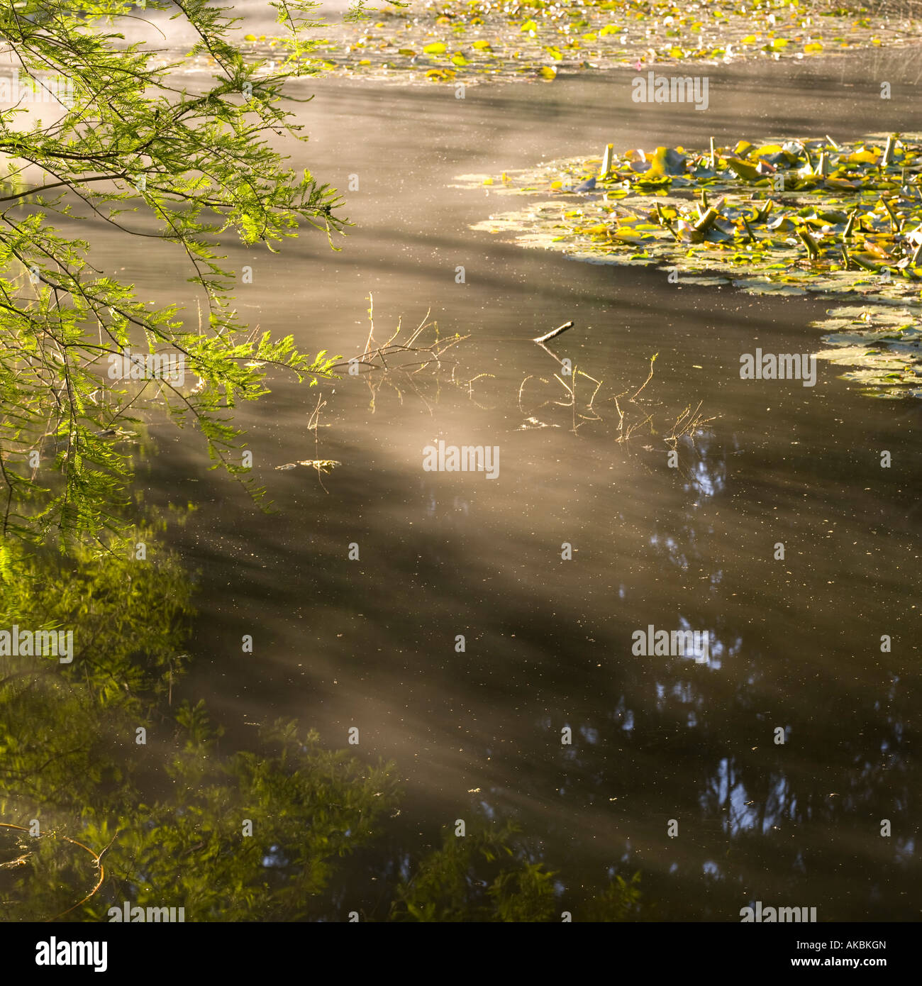 Mucky murky dirty water hi-res stock photography and images - Alamy