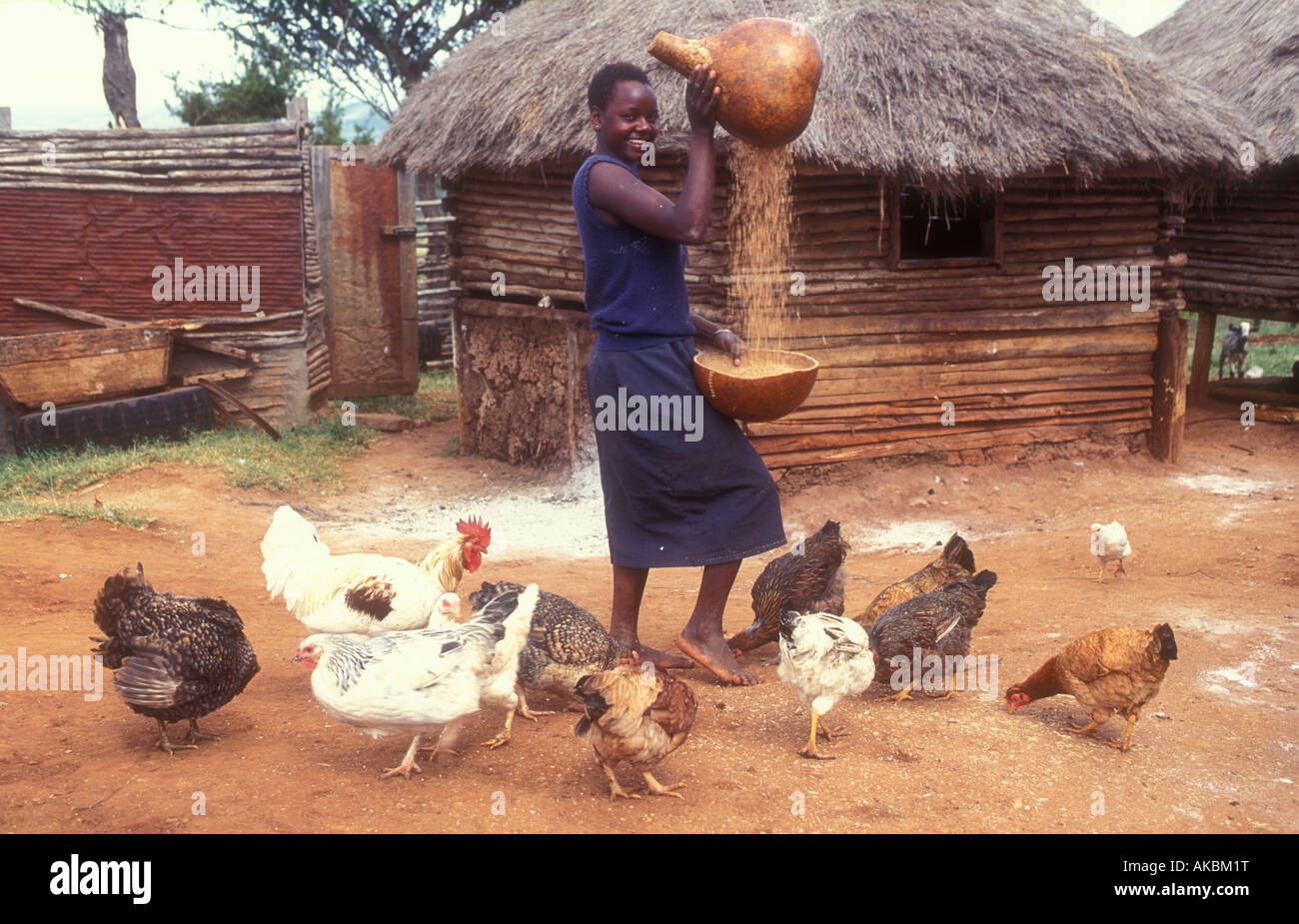 Village life in Central Kenya Stock Photo - Alamy