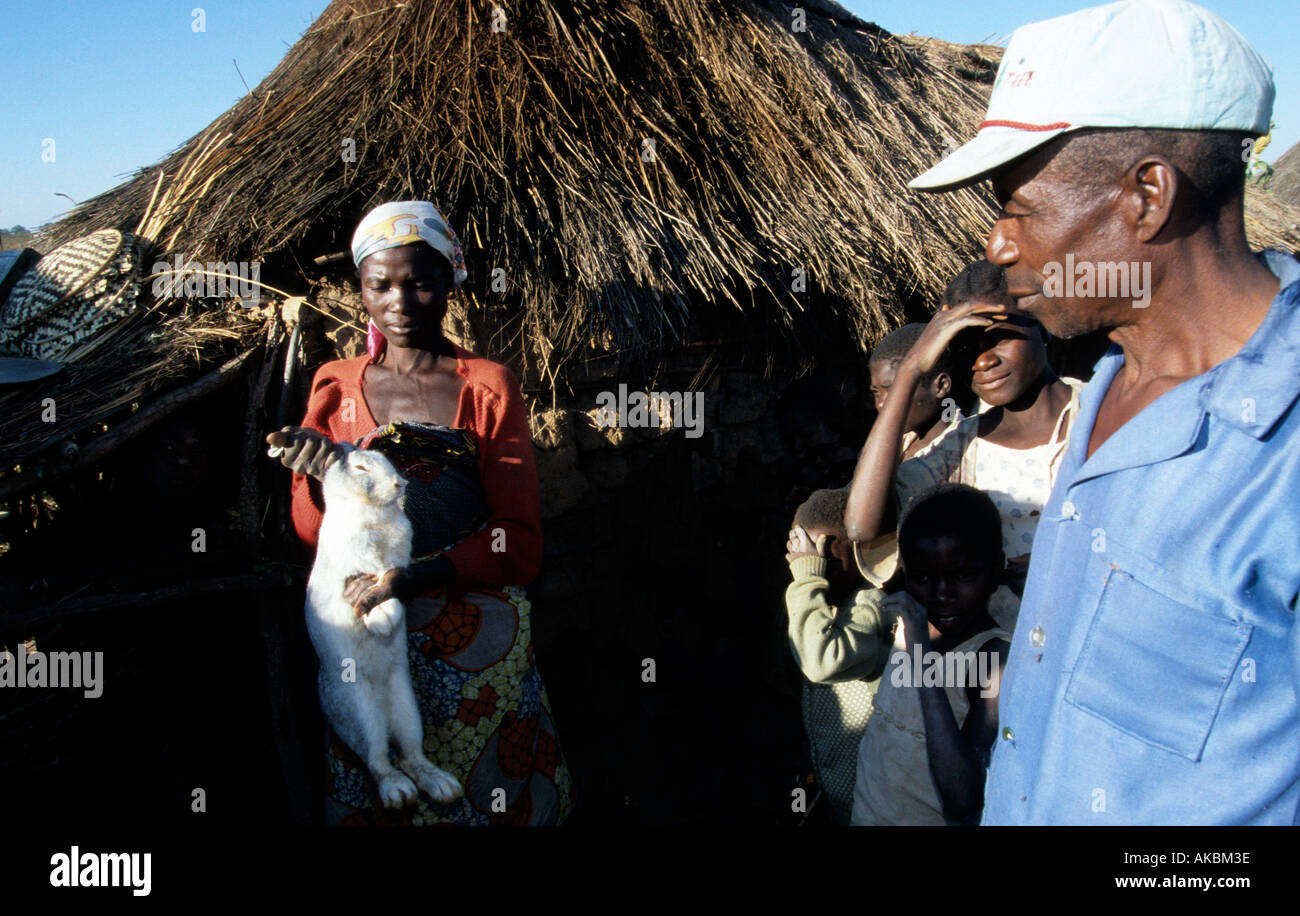 A rabbit farmer in Angola Stock Photo - Alamy