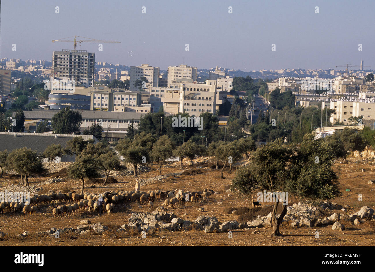 An overview of the city of Israel Stock Photo - Alamy