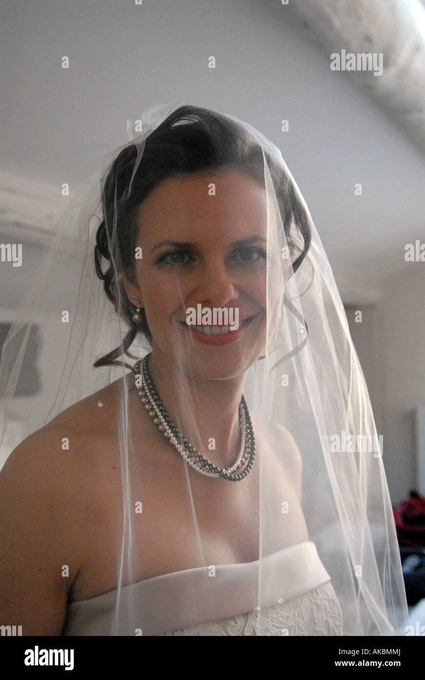 Bride wearing a veil Stock Photo - Alamy