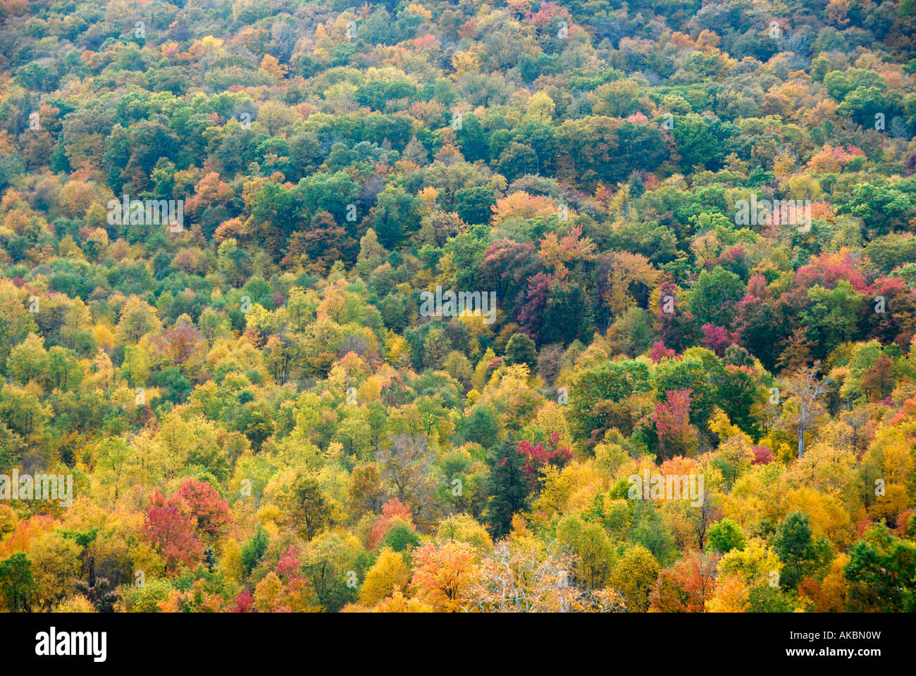 Autumn fall color pastoral scene near Johnstown Pennsylvania Stock ...
