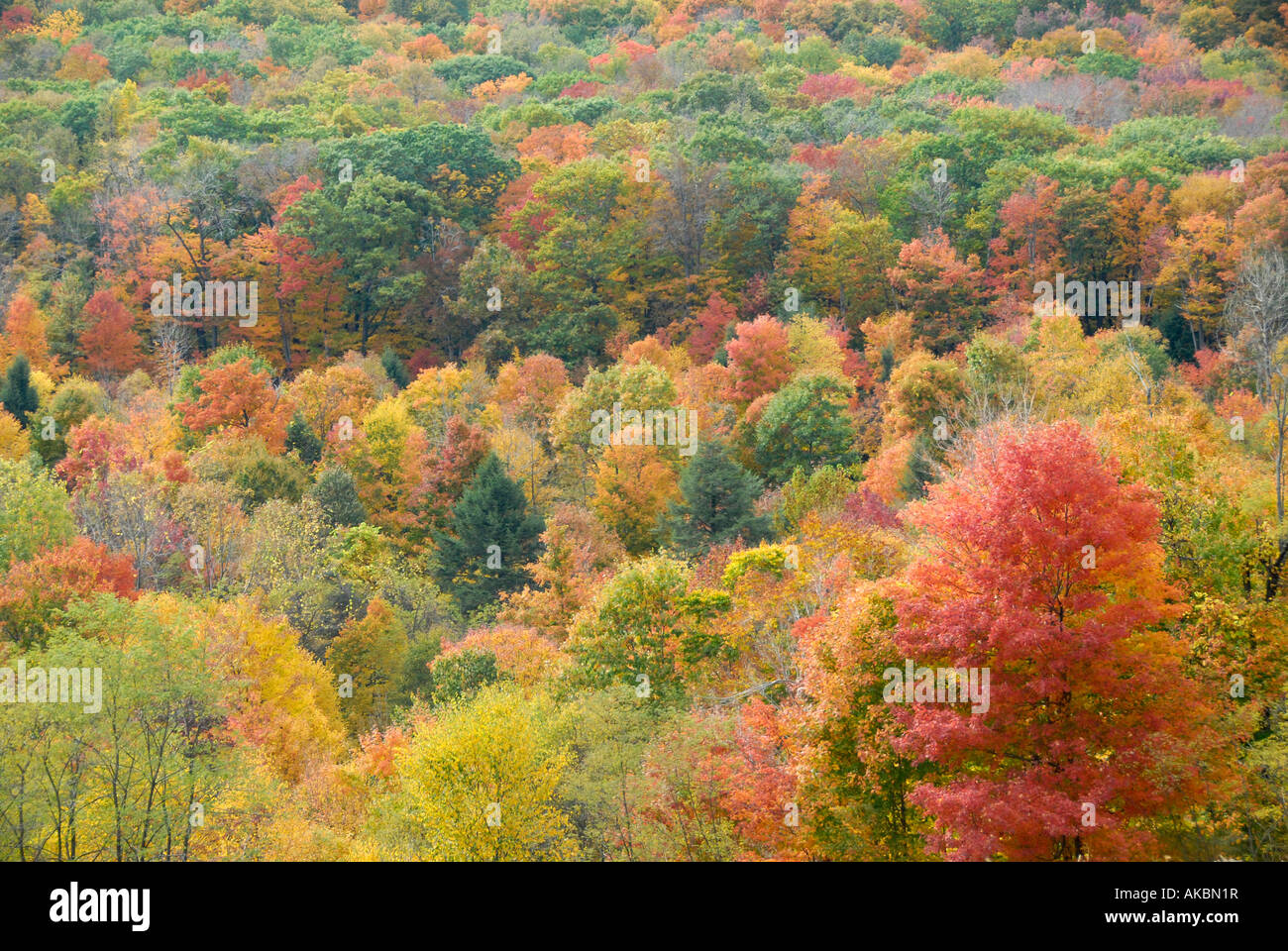 Autumn fall color pastoral scene near Johnstown Pennsylvania Stock ...