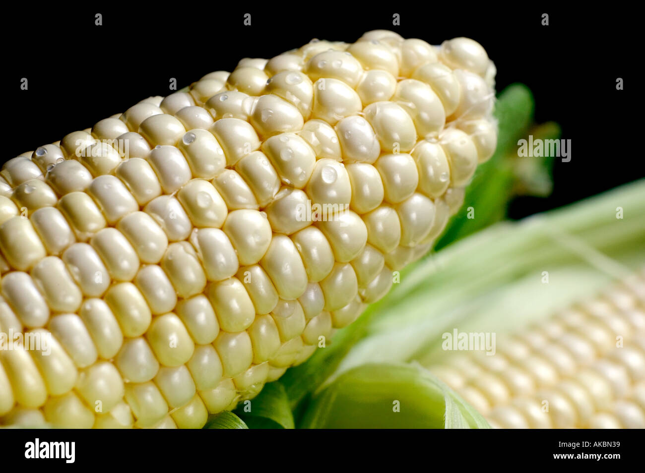Dmp3370 hi-res stock photography and images - Alamy