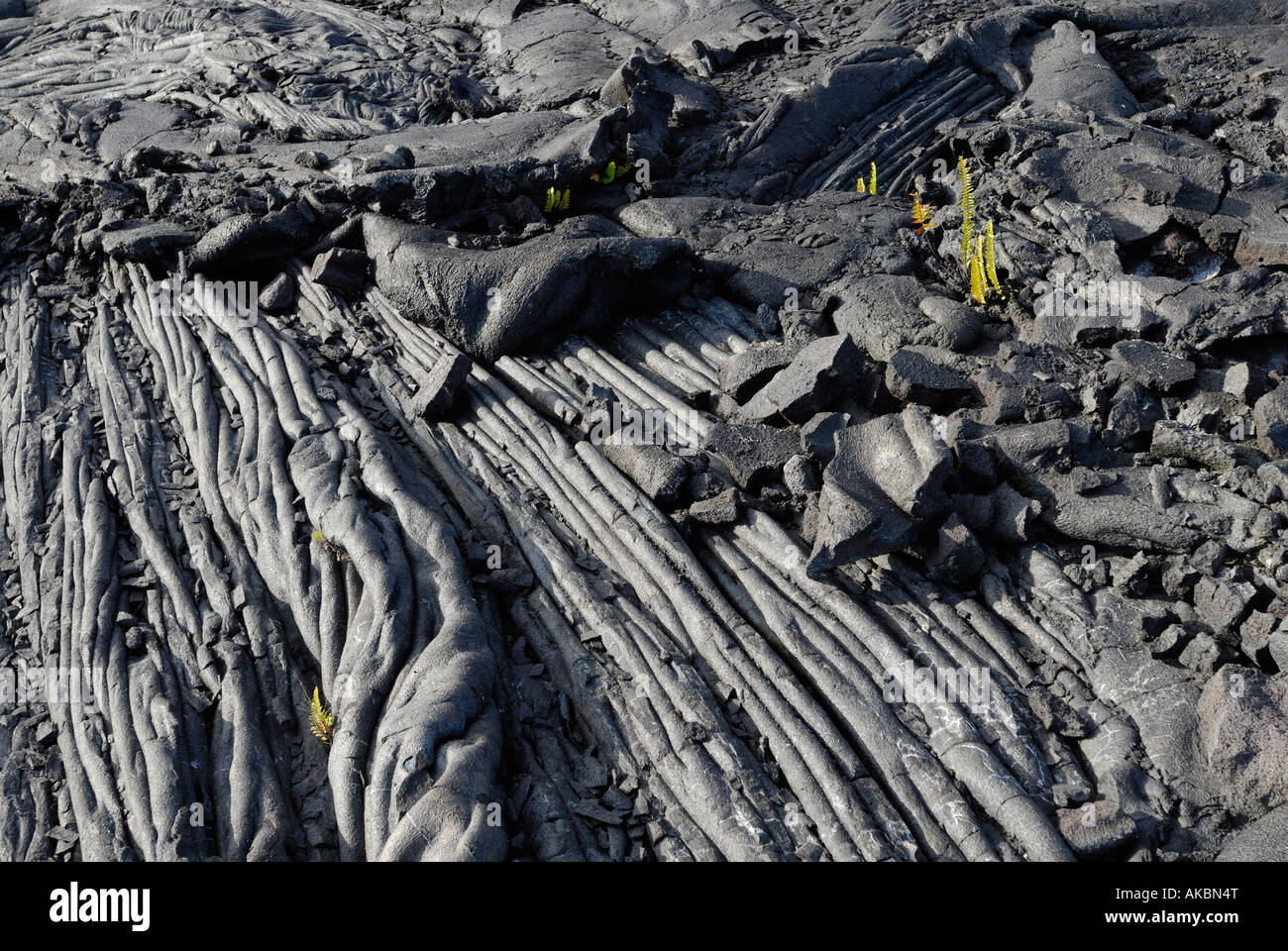 Pahoehoe lava flow from 1992-2003 eruption Stock Photo - Alamy