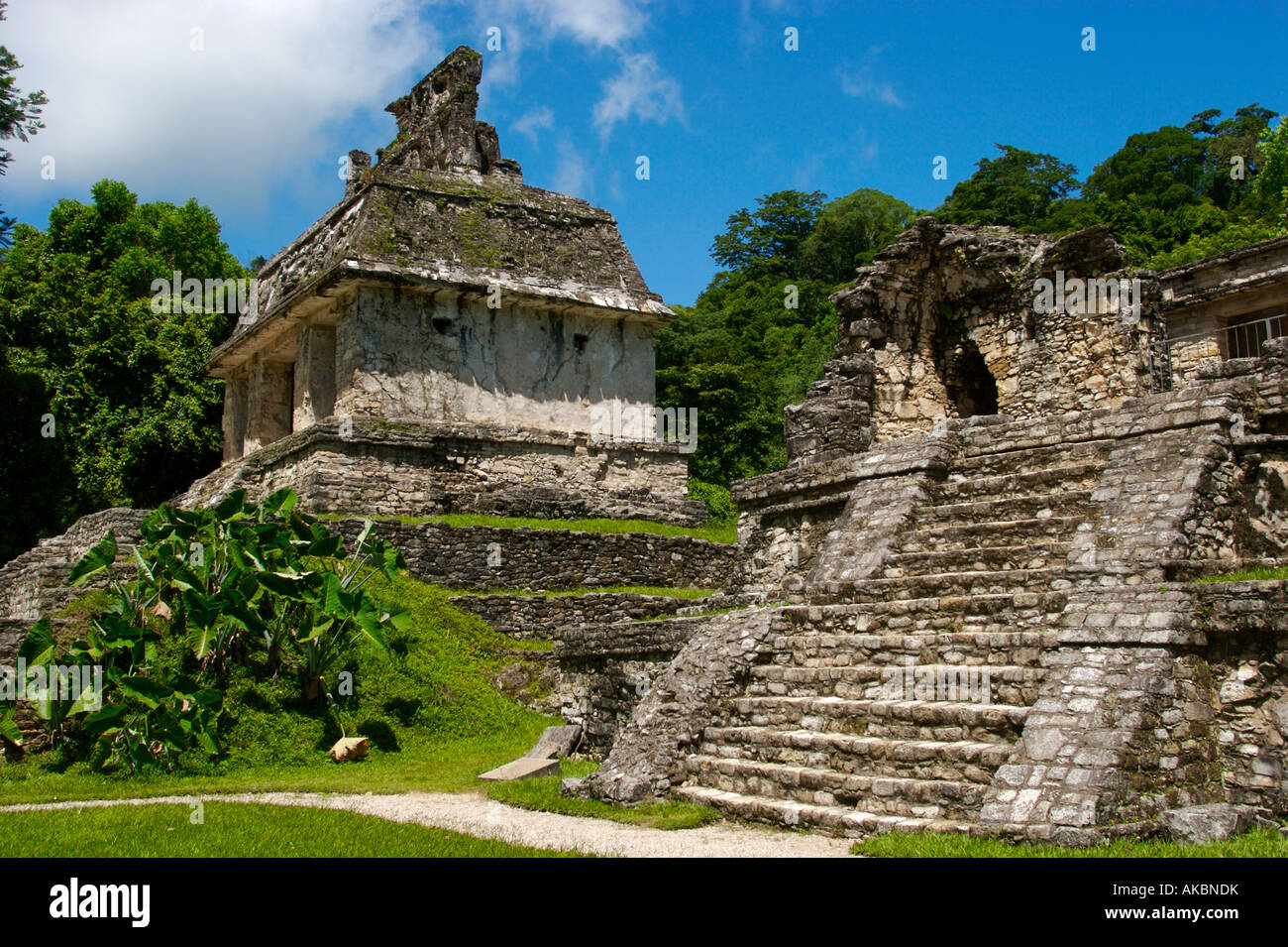 Mayan ruins and the surrounding rainforest at the Palenque Ruins in ...