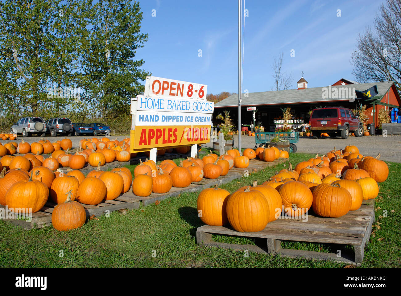 Roadside pumpkin and vegetable market stand store near Traverse City ...