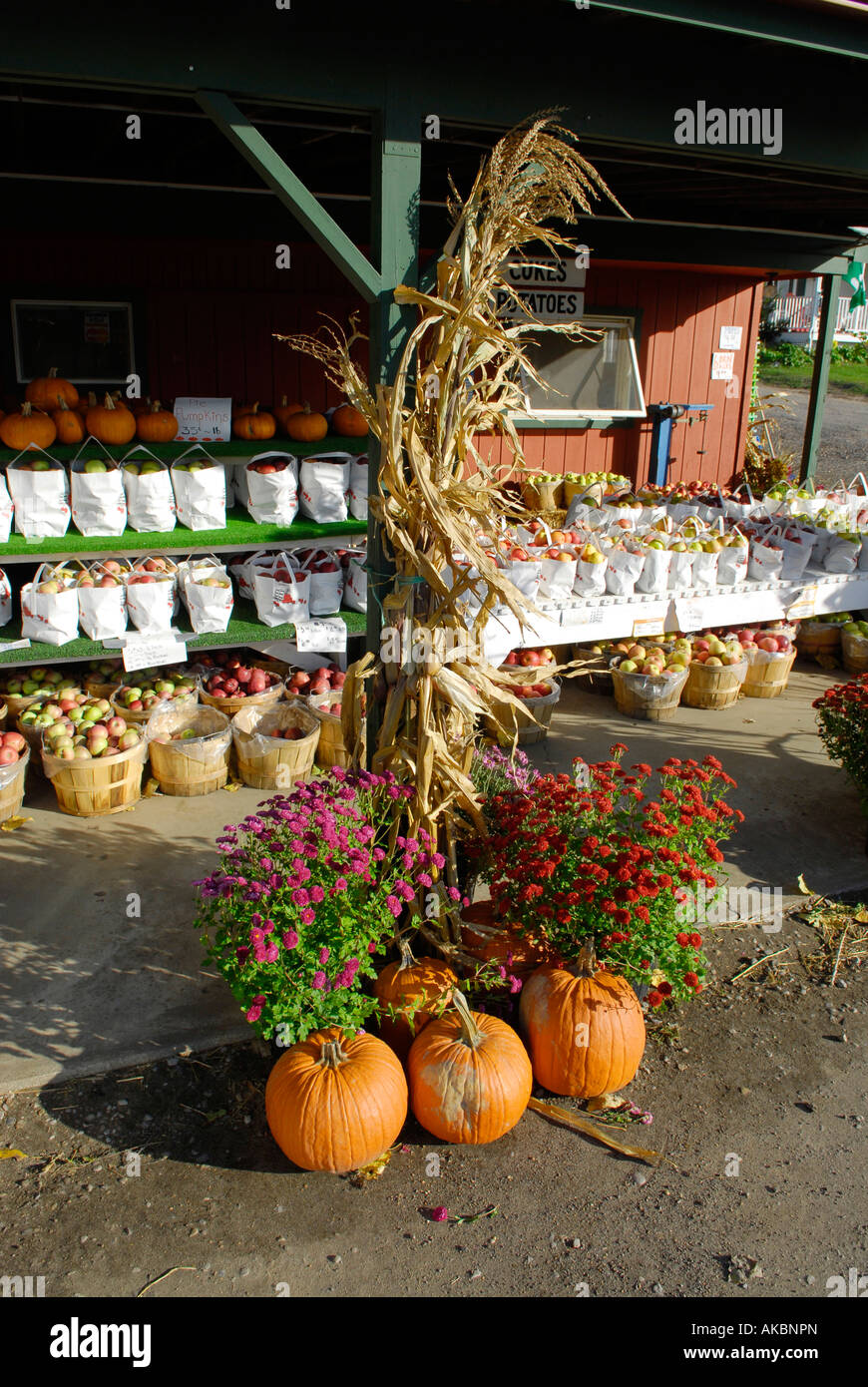 Roadside pumpkin and vegetable market stand store near Traverse City ...