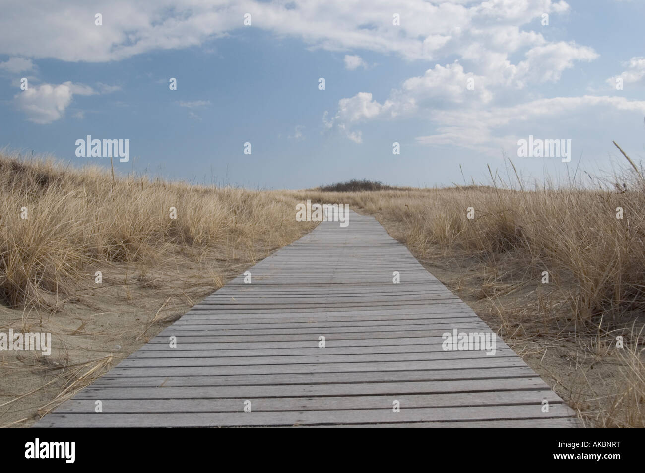 Boardwalk - Good Harbor Beach - Gloucester, MA Stock Photo - Alamy