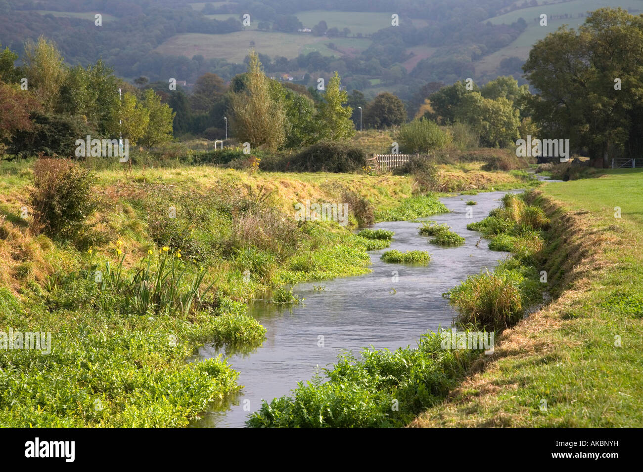 Cheddar stream Somerset the mendips in the background Stock Photo - Alamy