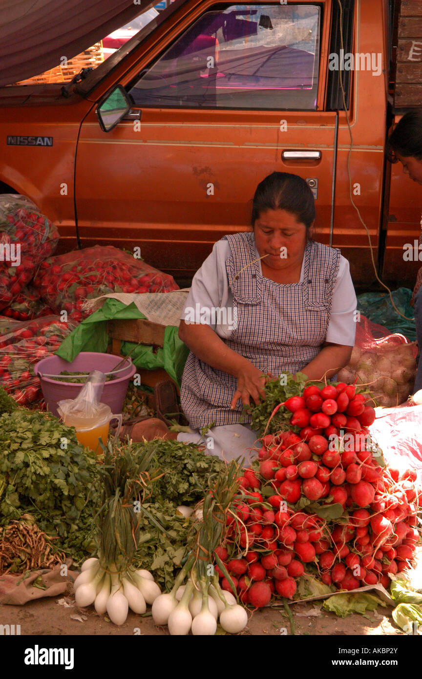 Mercado Abastos Market Oaxaca city Mexico Stock Photo - Alamy