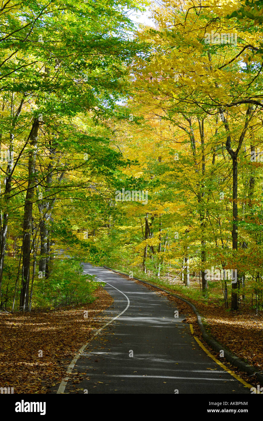 The Pierce Stockling Scenic Drive during Autumn fall color foliage in ...