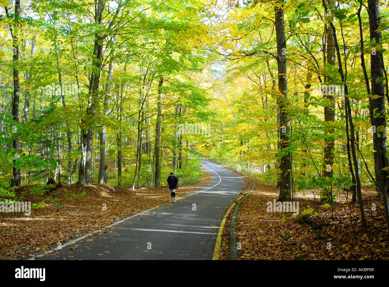 The Pierce Stockling Scenic Drive during Autumn fall color foliage in ...