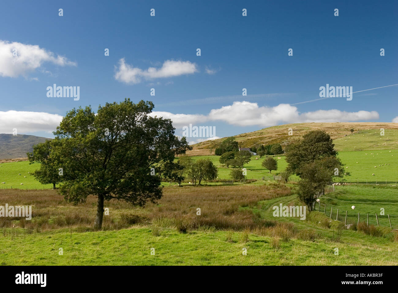 Wales Gwynedd Snowdonia Bala hill farm above Llanycil Stock Photo - Alamy