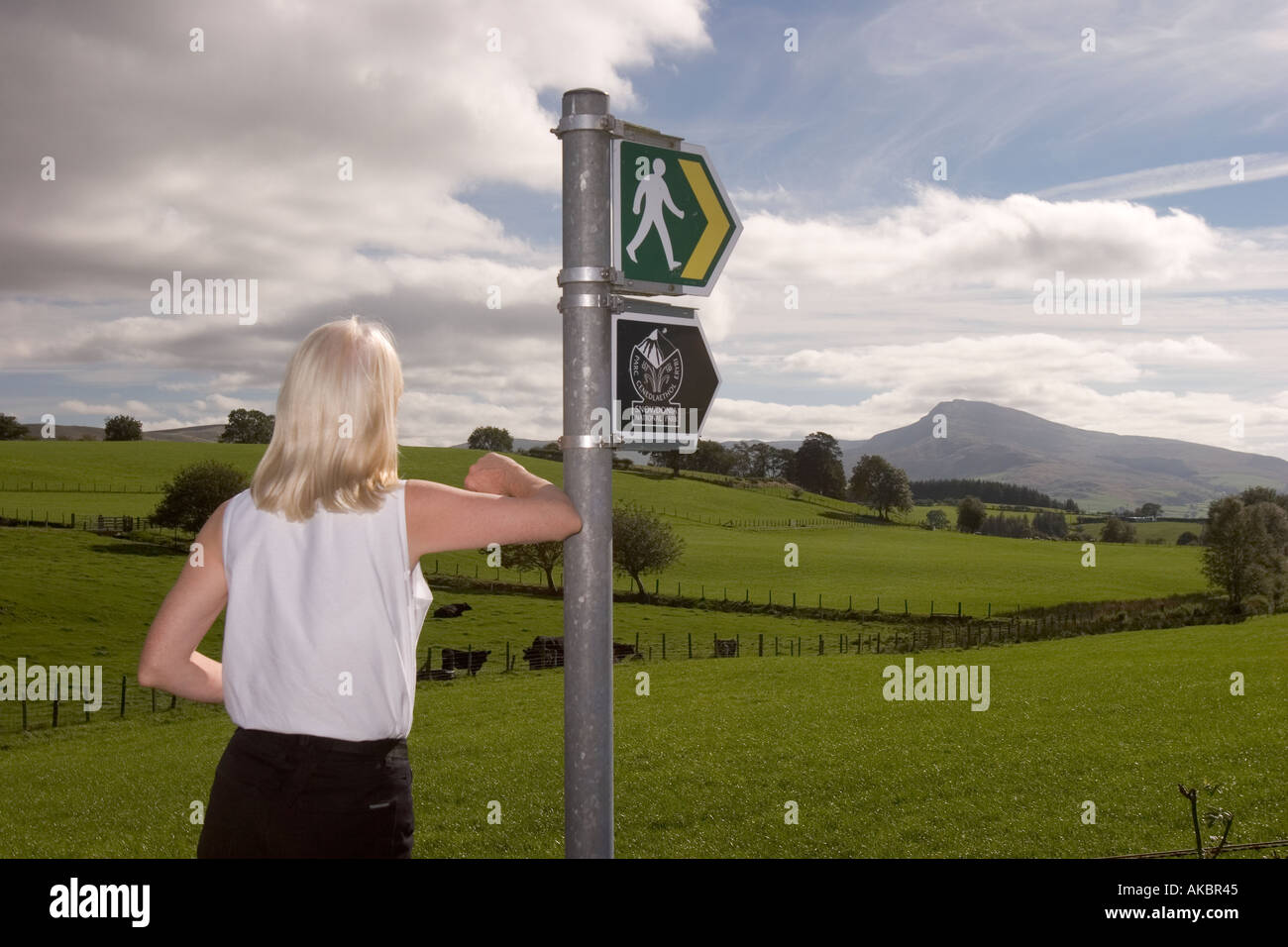 Wales Gwynedd Bala tourist and footpath signs hillfarm above Llanycil ...