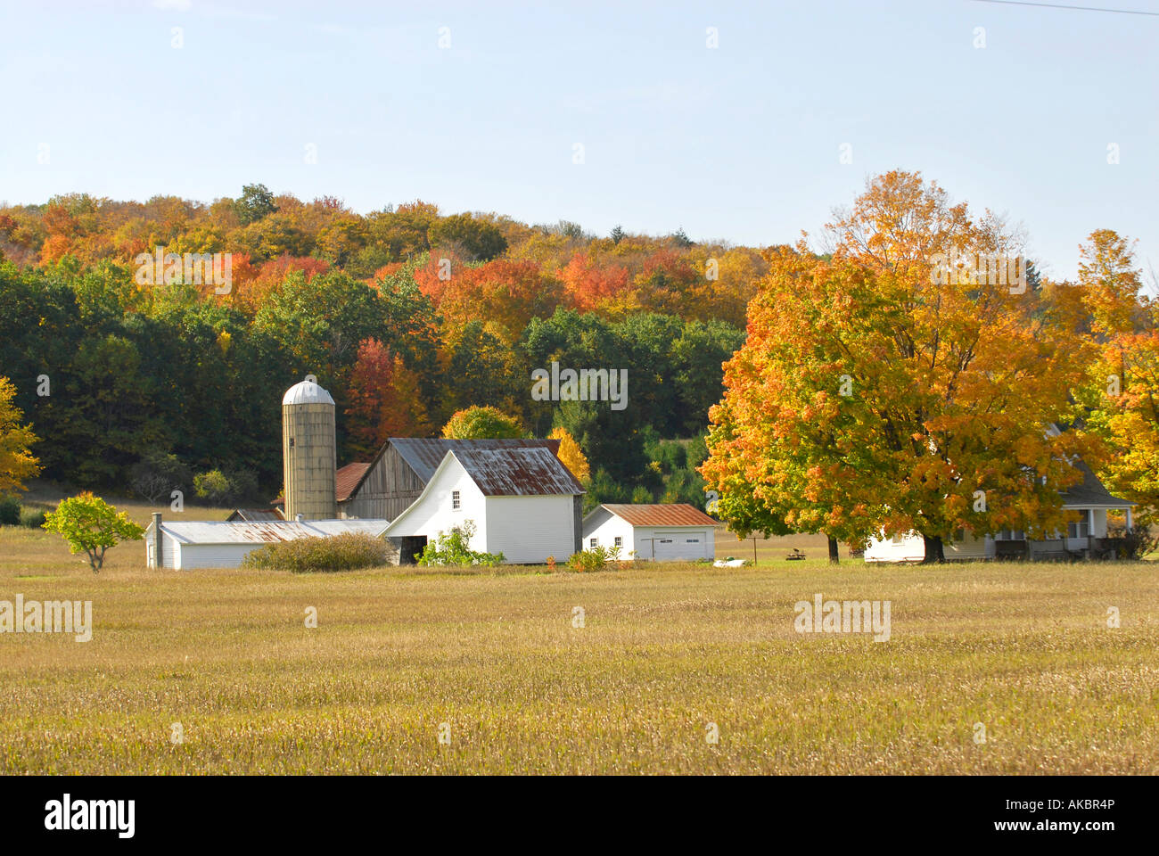 Michigan farm scene on the Leelanau peninsula near Traverse City ...