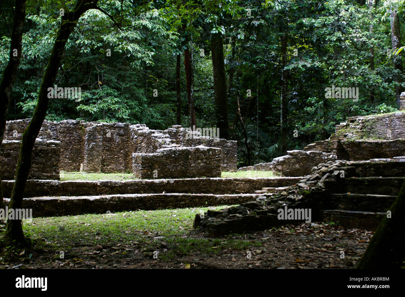 Mayan ruins and the surrounding rainforest at the Palenque Ruins in ...