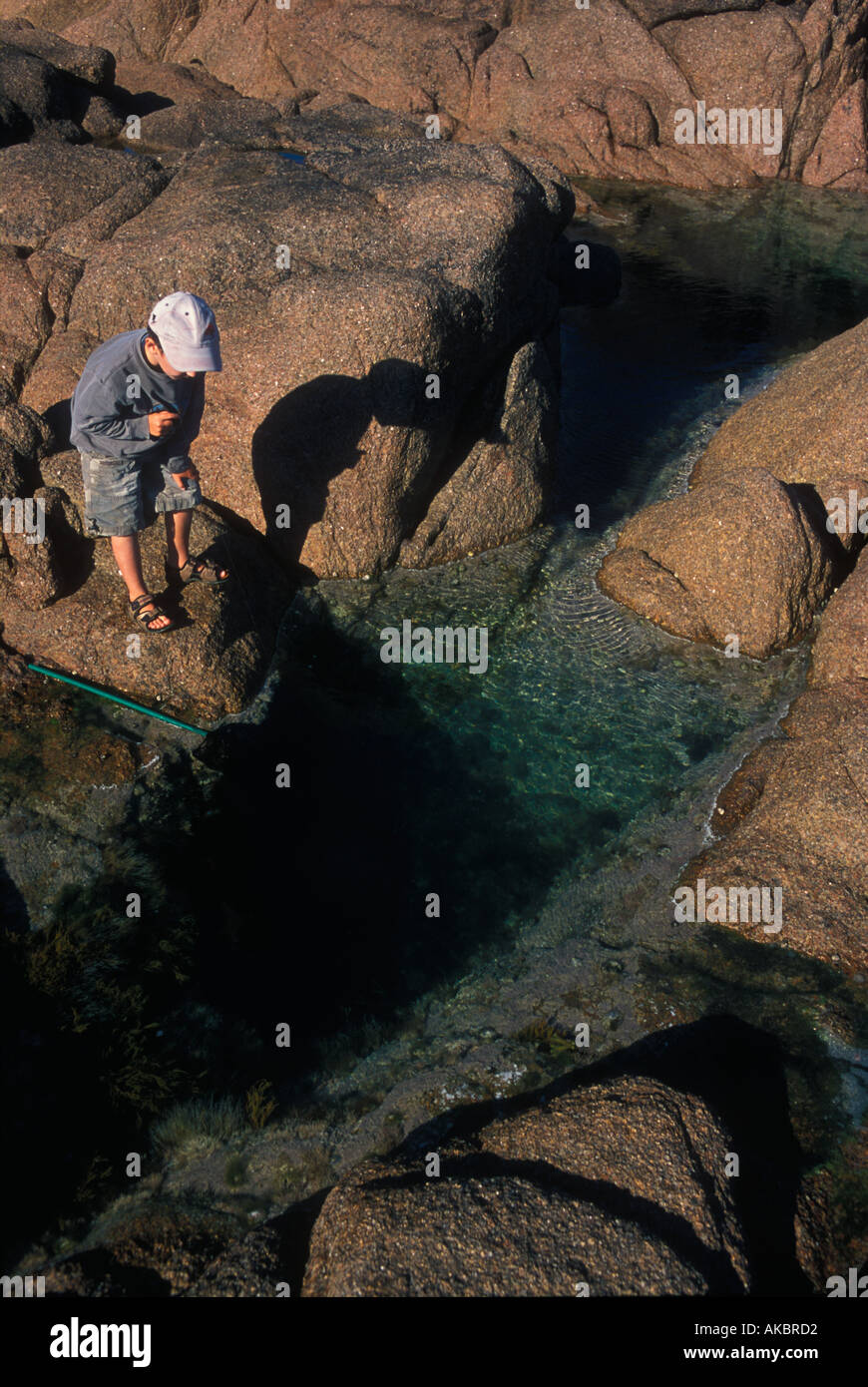 Young boy Fishing in Rock Pool s around Corbiere Lighthouse Stock Photo - Alamy