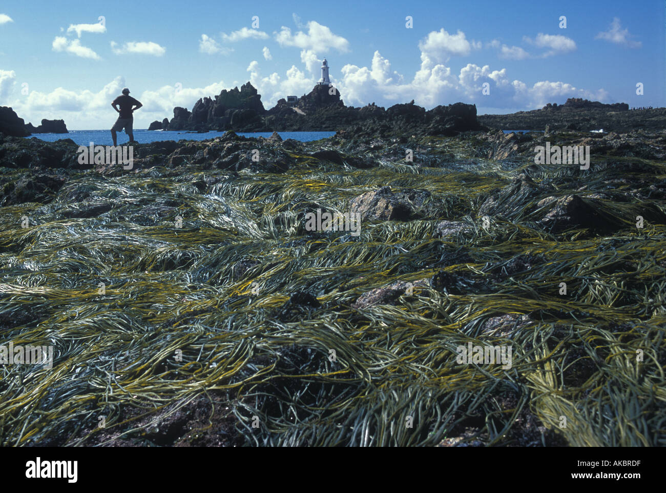 Young boy exploring rock pools in Jersey, Channel Islands Stock Photo ...