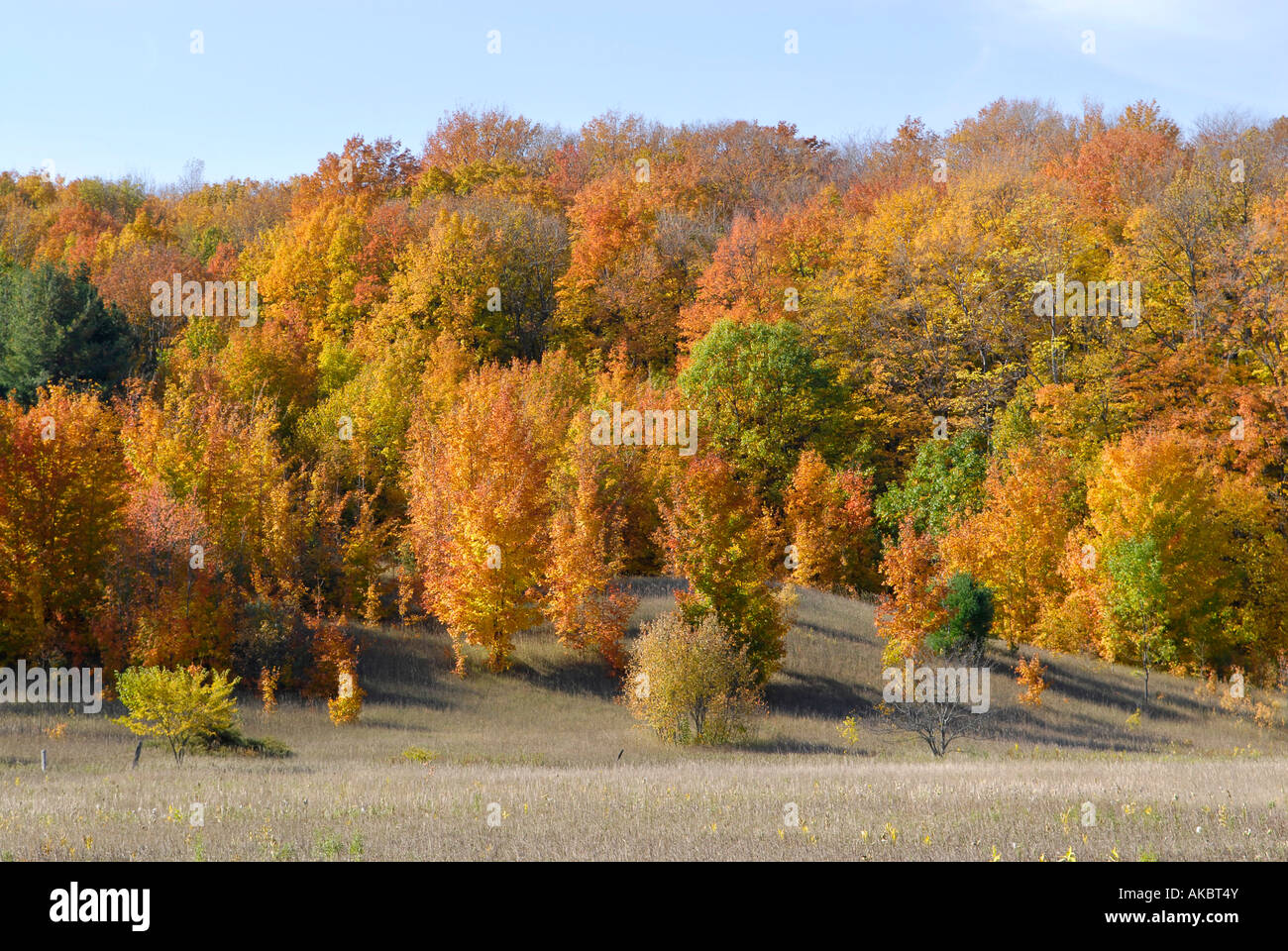 Autumn fall color foliage in and around Traverse City Michigan Stock ...