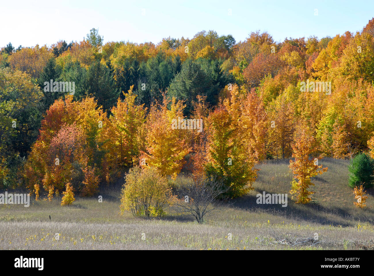 Autumn fall color foliage in and around Traverse City Michigan Stock ...