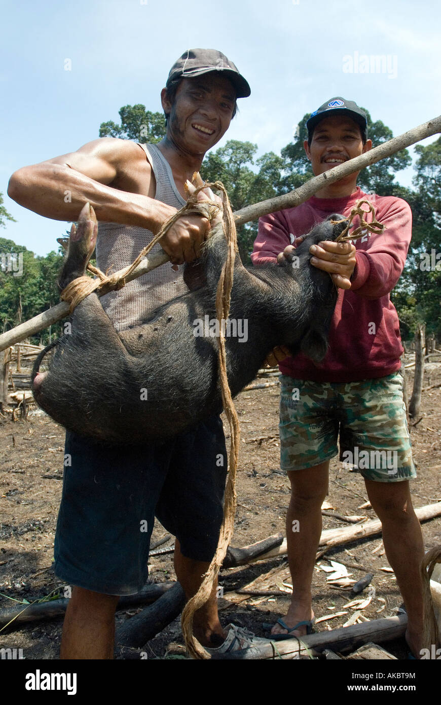 Pig sacrifice hi-res stock photography and images - Alamy