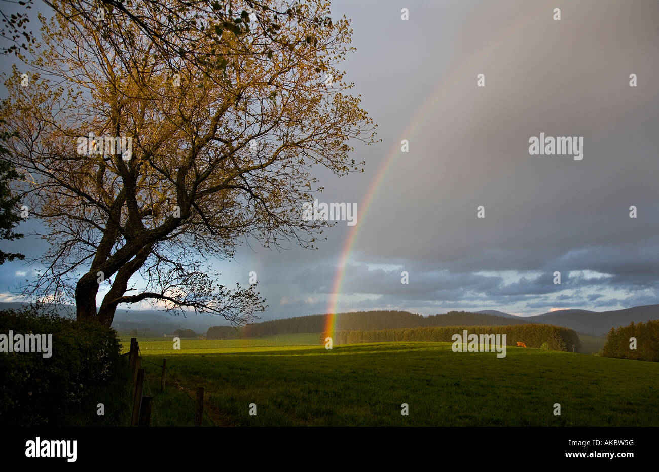 Knockando distillery hi-res stock photography and images - Alamy