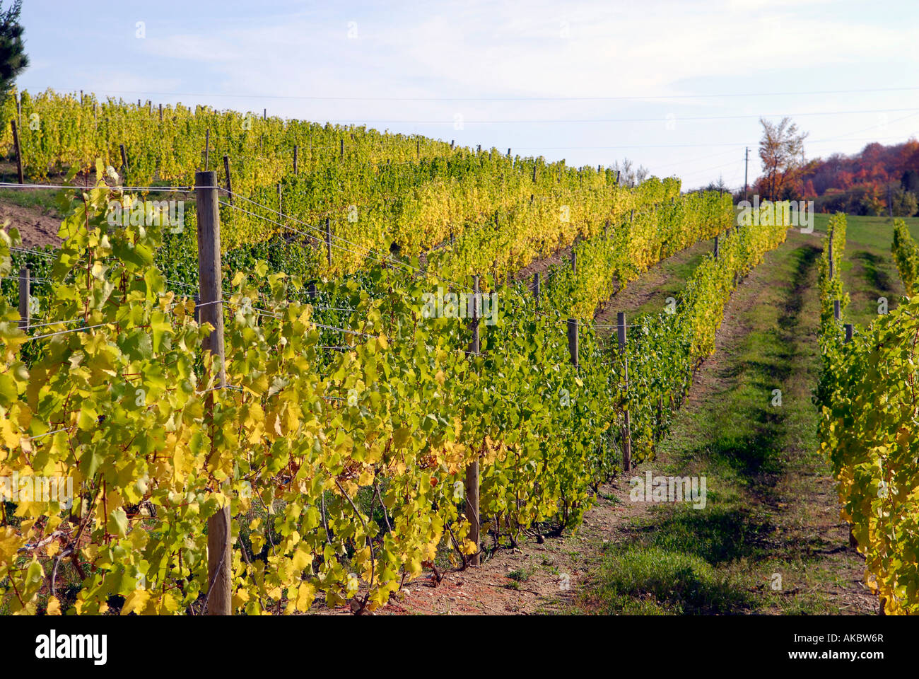 Michigan traverse city hi-res stock photography and images - Alamy