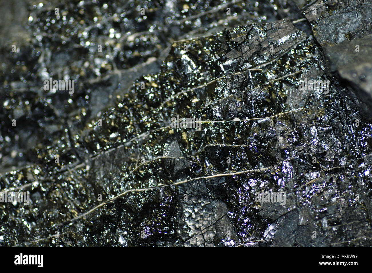 close up of high quality coal sample Queensland Australia Stock Photo ...