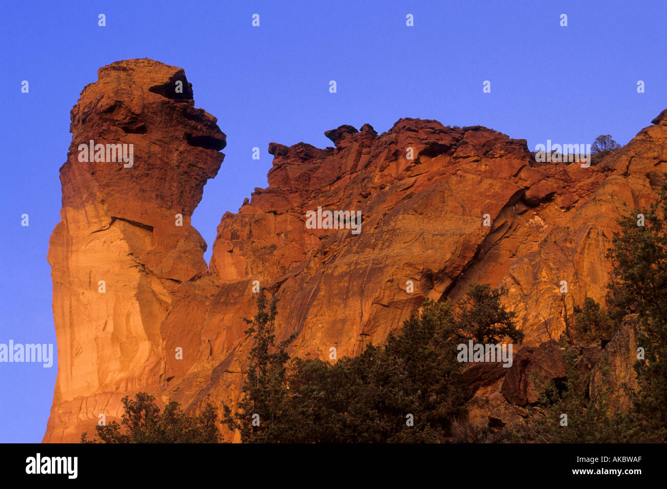 Rock Formation known as Monkey Face in Smith Rock State Park Oregon USA ...