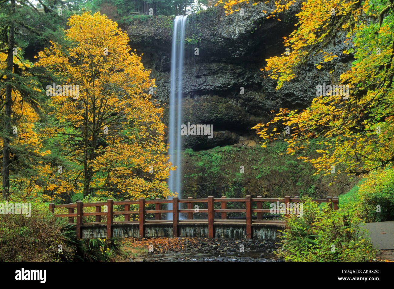South Falls tumbles down a cliff in Silver Falls State Park Oregon USA ...