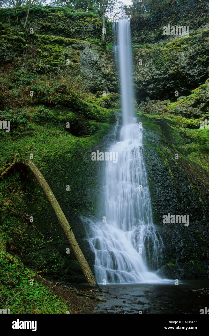 Winter Falls tumbles down a cliff in Silver Falls State Park Oregon USA ...