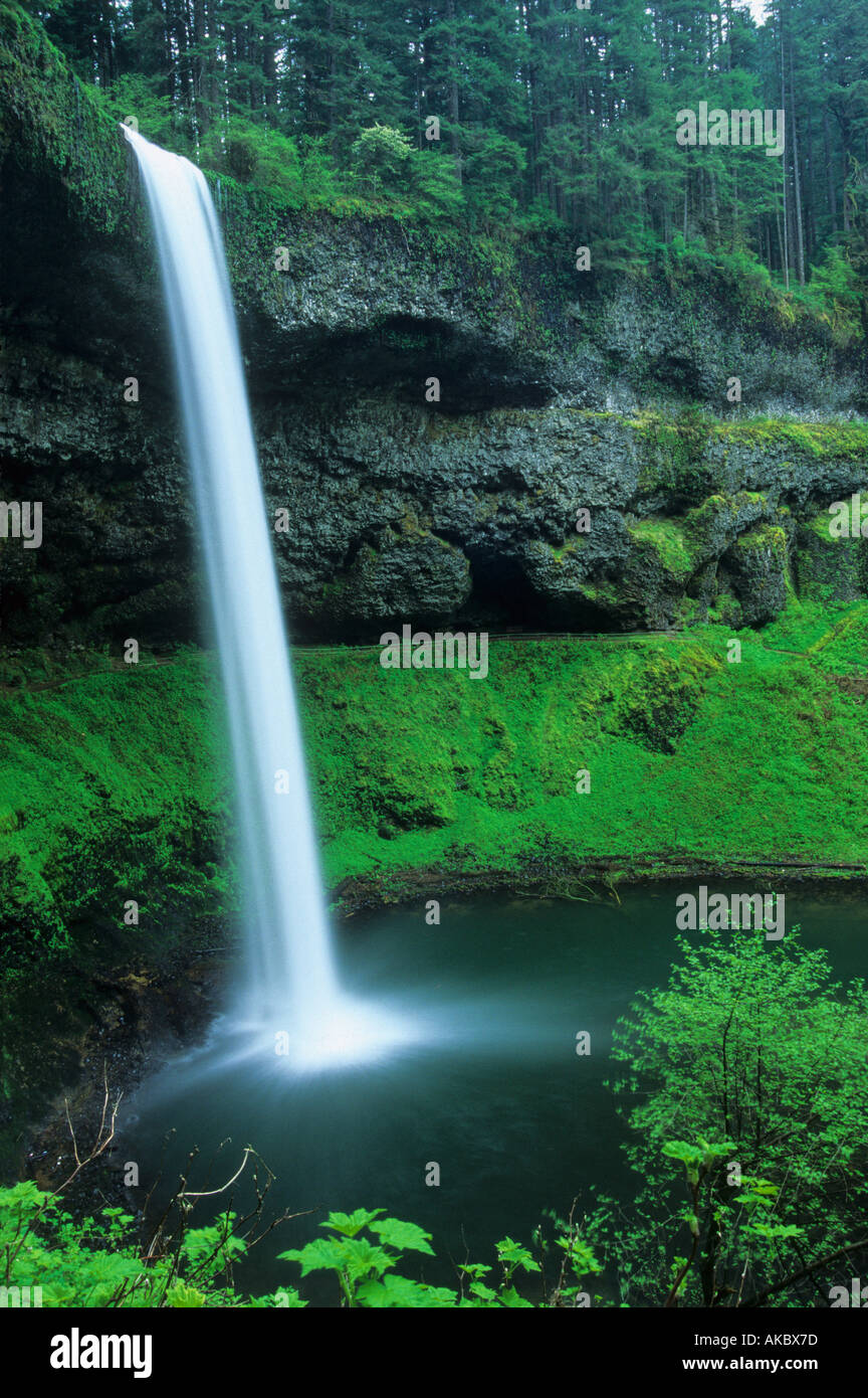 South Falls tumbles down a cliff in Silver Falls State Park Oregon USA ...