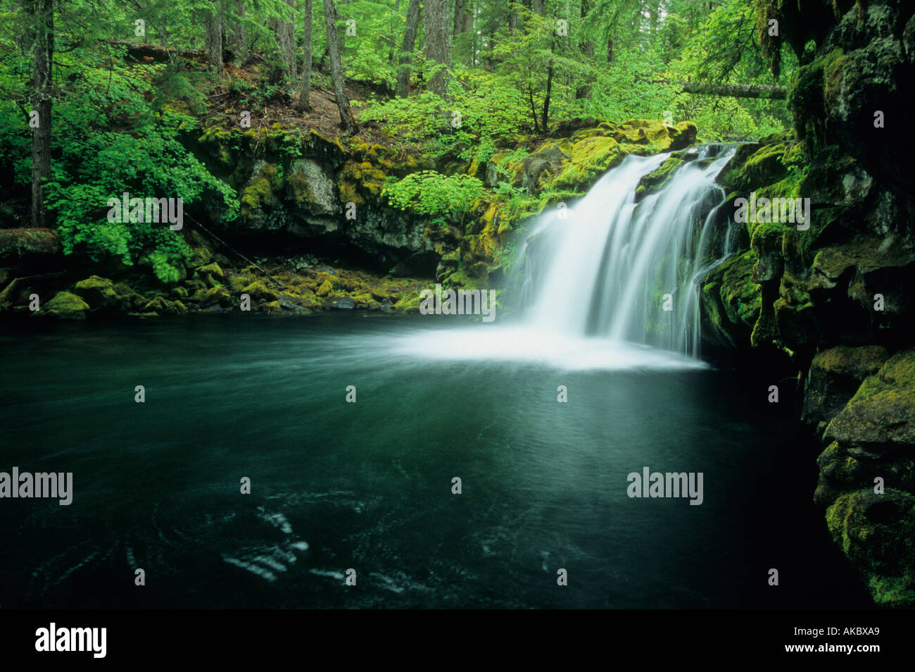 Whitehorse landscapes hi-res stock photography and images - Alamy