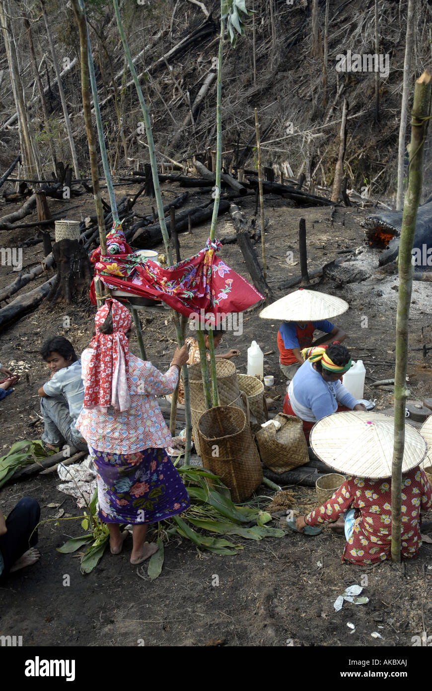Dayak river ceremony hi-res stock photography and images - Alamy