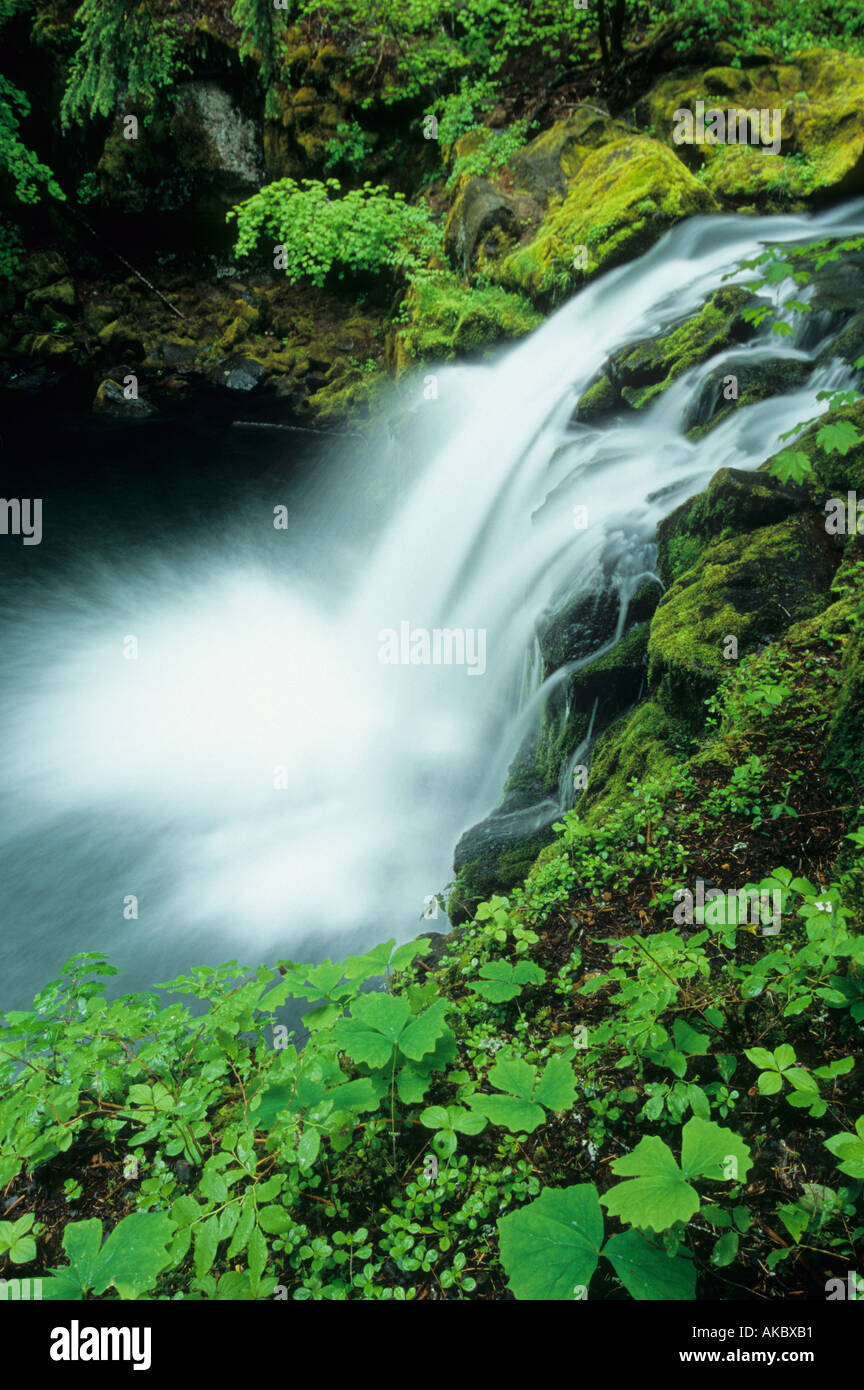 Oregon cascade range rivers hi-res stock photography and images - Alamy