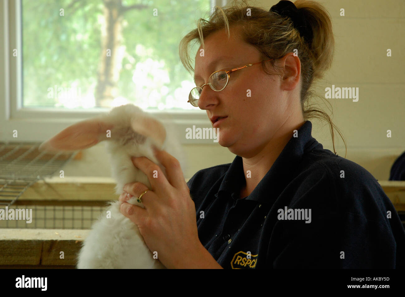 RSPCA staff member with rabbit Bradford The shelter houses approx 100 ...