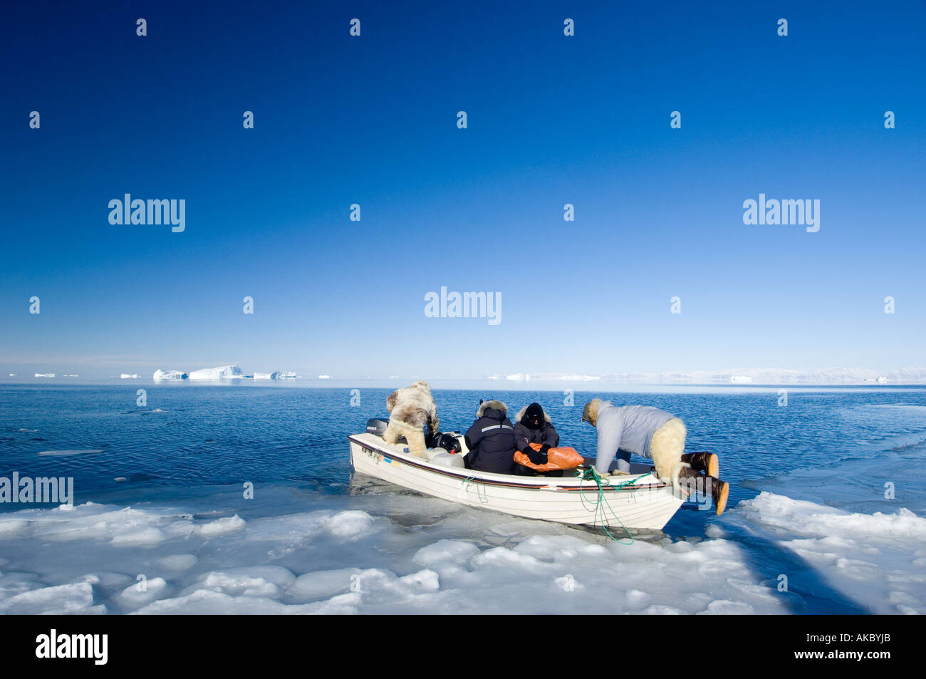 Walrus hunt inuit hi-res stock photography and images - Alamy