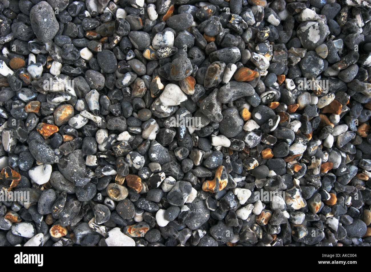 Pebbles on the beach Stock Photo - Alamy