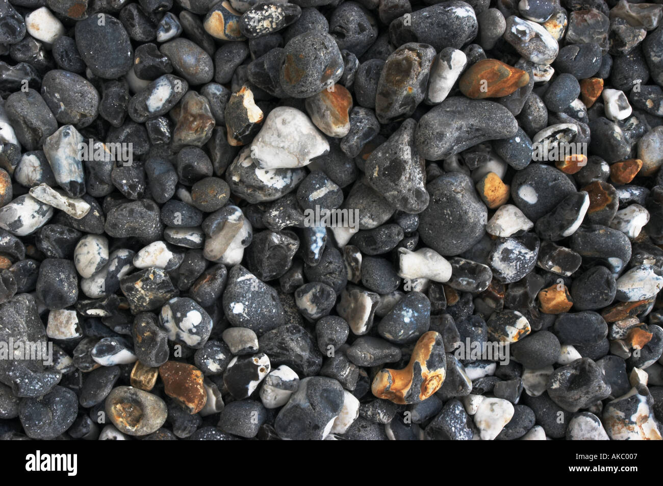 Pebbles on the beach Stock Photo - Alamy