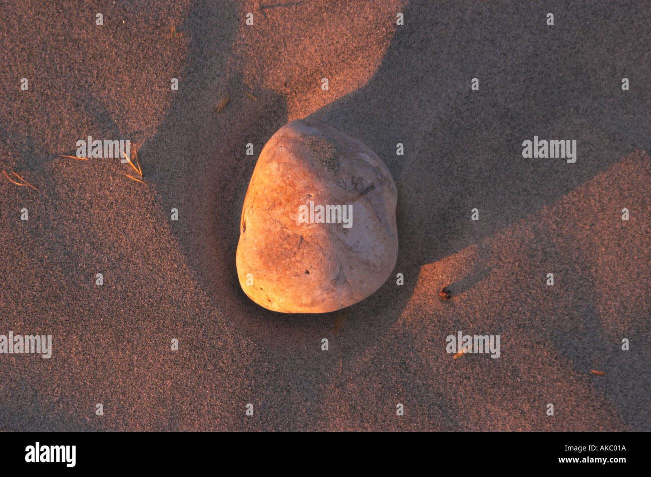 Pebble in the sand Stock Photo - Alamy