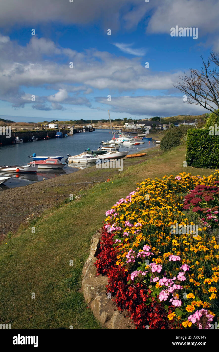 flower beds by the quay hayle cornwall Stock Photo - Alamy