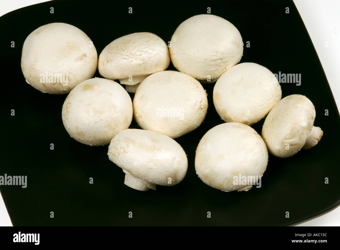 Elliptical spores hi-res stock photography and images - Alamy