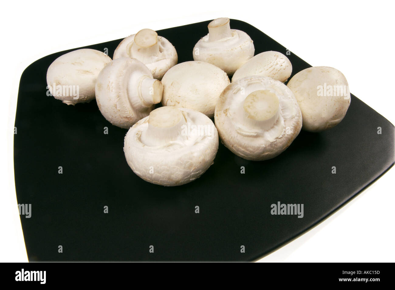 Elliptical spores hi-res stock photography and images - Alamy